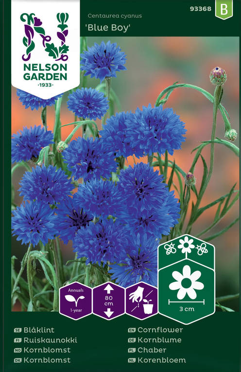 RUISKAUNOKKI BLUE BOY Centaurea cyanus - Puutarhakeskus Jaakkola ...