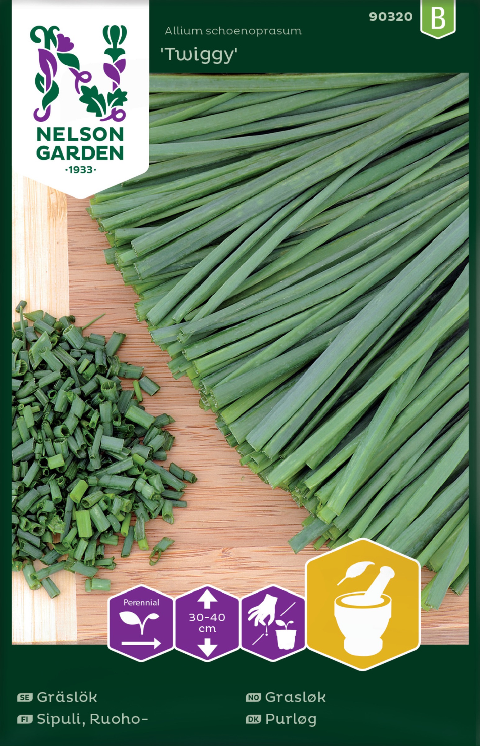 RUOHOSIPULI TWIGGY Allium schoenoprasum - Puutarhakeskus Jaakkola ...