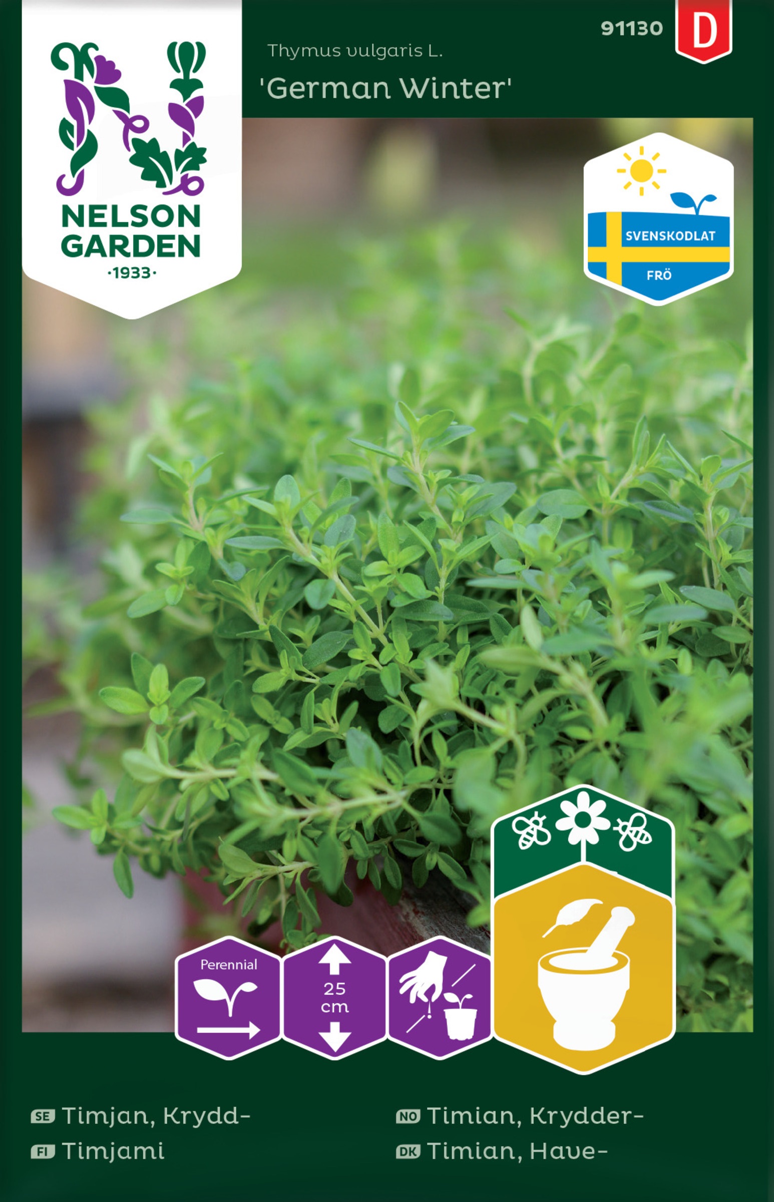 TIMJAMI GERMAN WINTER Thymus vulgaris L. - Puutarhakeskus Jaakkola ...